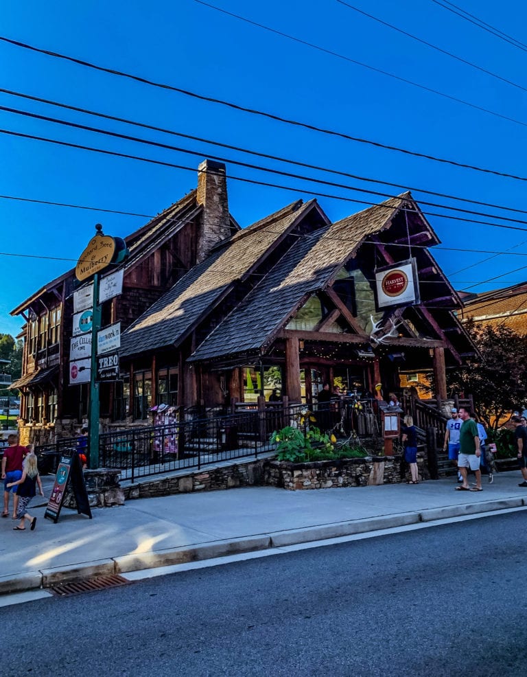 Things to do in Blue Ridge Georgia | Sellect Realty